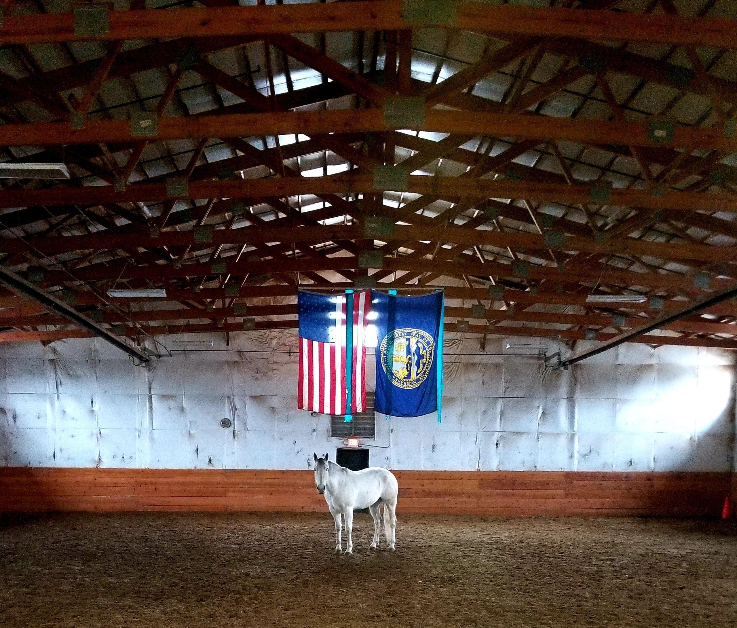 Omaha Mounted Foundation